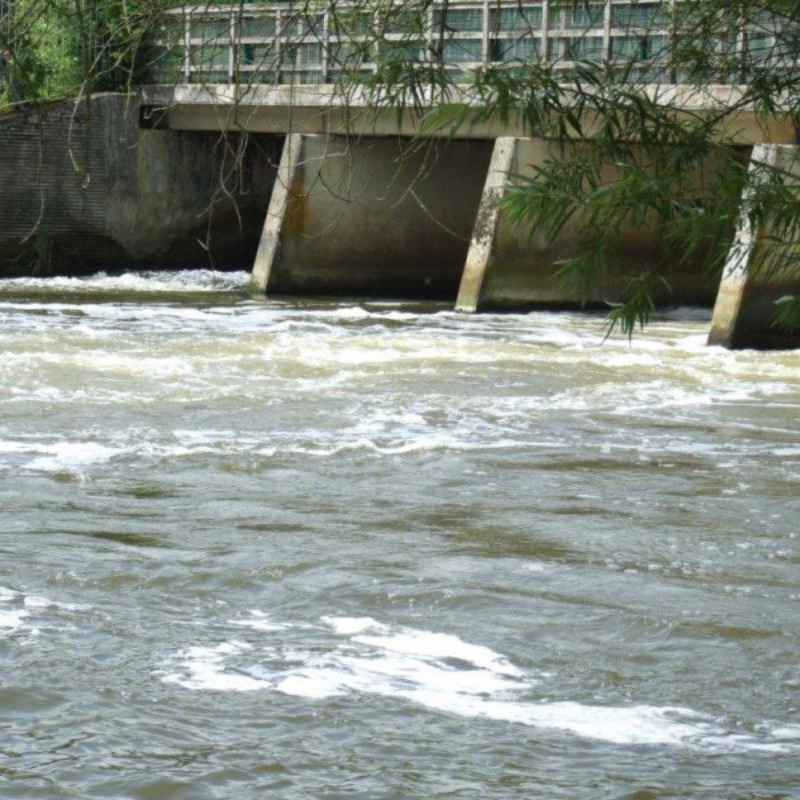 Fishery | Cookham lock Surrey